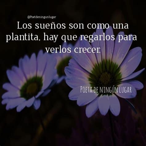 Los sueños son una plantita hay que regarlos para verlos crecer