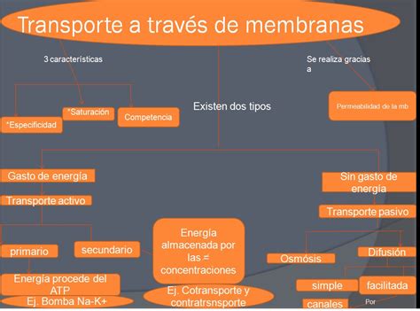 PORTAFOLIO DIGITAL DE EVIDENCIAS PARA EL APRENDIZAJE DE FISIOLOGÍA