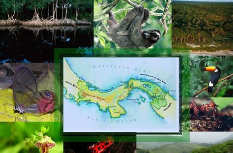 LOS ECOSISTEMAS TIPOS DE ECOSISTEMAS