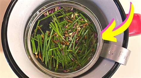 Voici Les Bienfaits Sant De La Tisane De Thym L