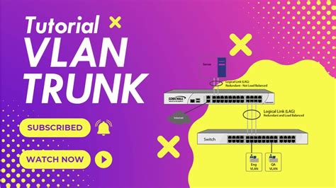 TUTORIAL VLAN TRUNK MENGGUNAKAN CISCO PACKET TRACER MOBILE YouTube