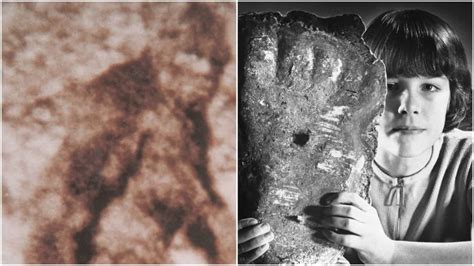 Cryptic Fbi Tweet Exposes Top Secret Bigfoot Files