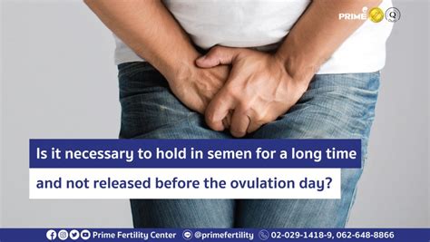 Is It Necessary To Hold In Semen For A Long Time And Not Released Before The Ovulation Day