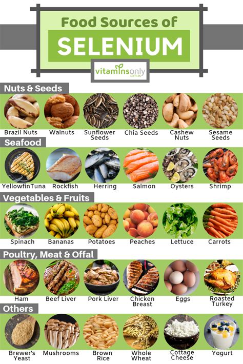 Foods Rich In Selenium