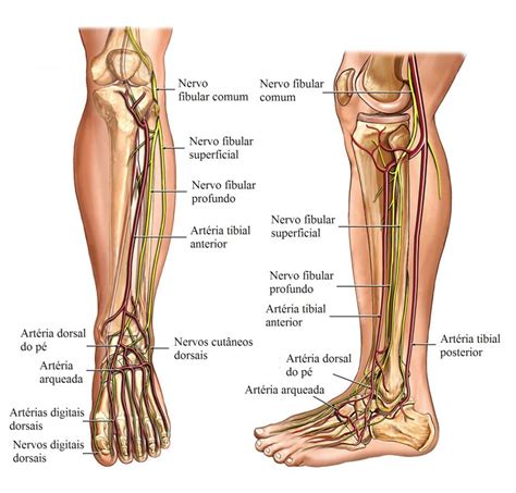 Dor nos nervos do pé neuroma neuropatia diabética e túnel do tarso