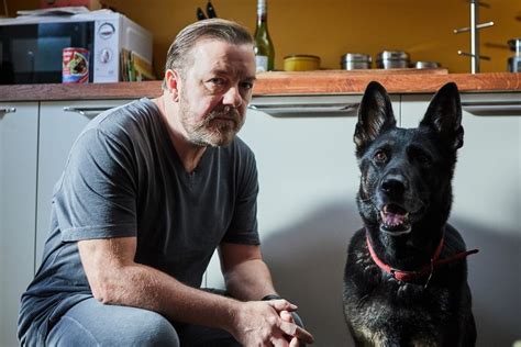 After Life tendrá temporada 3 Ricky Gervais se queda en Netflix con