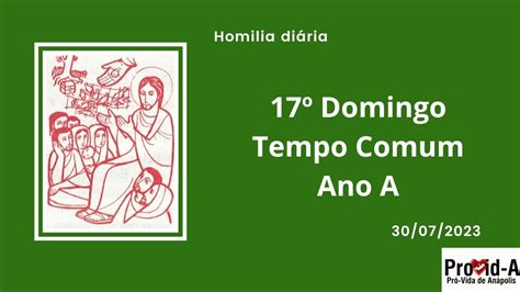 Homilia 17º Domingo Tempo Comum Ano A 30 07 2023 YouTube