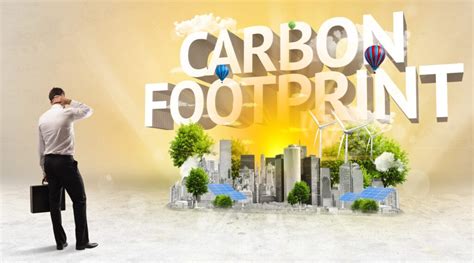 C Mo Reducir La Huella De Carbono De Una Empresa Prim Net