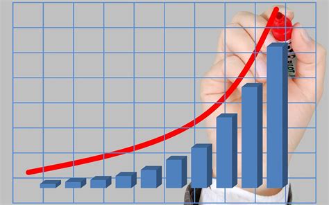 Kompendium wiedzy o search terms czyli jak zoptymalizować zaplecze