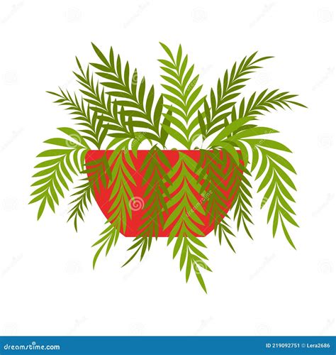 Una Planta De La Casa Un Helecho En Una Olla Roja Ilustraci N