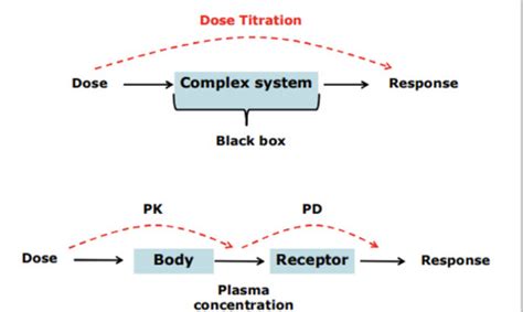 Pharmacology Pharmacokinetics Flashcards Quizlet