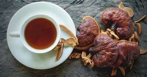 Reishi Mantarı Nedir Reishi Mantarı Yağının Faydaları Nelerdir