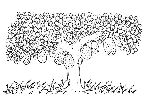 Mango Tree Coloring Page