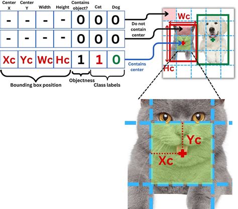 Transfer Learning For Computer Vision A Pytorch Tutorial Medium