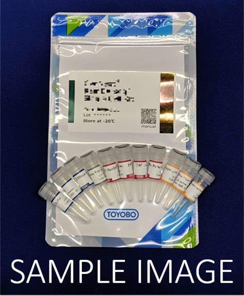 Thermo T7 RNA Polymerase TT7 AS ONE INTERNATIONAL