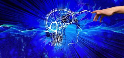 Se puede entender la psicología como una ciencia 2022
