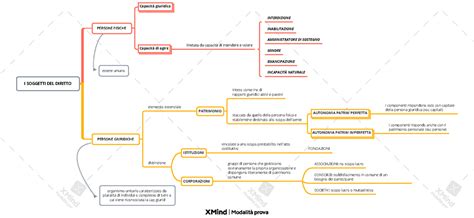 I Soggetti Del Diritto Schema I Soggetti Del Diritto Persone