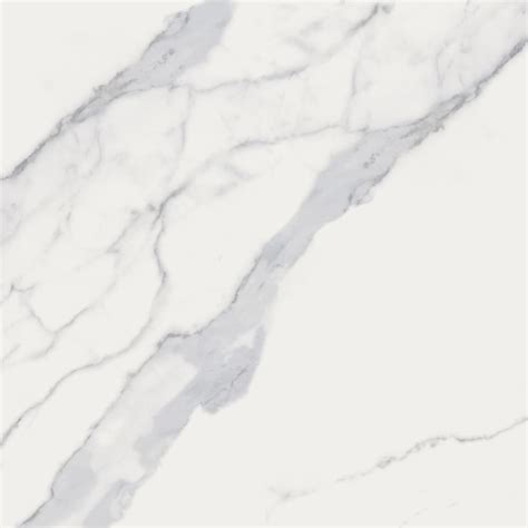 Floor Calacatta Tile At Lowes