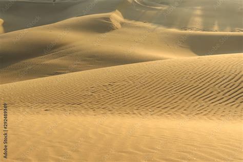 Sand Dunes In Thar Desert Jaisalmer India Stock Photo Adobe Stock