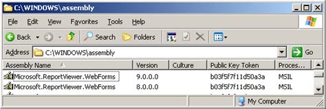 Asp Net C The Type Microsoft Reporting Webforms Reportviewer