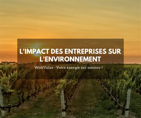 L Impact Des Entreprises Sur L Environnement WattValue