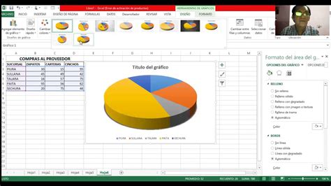 EXCEL 14 GRAFICO CIRCULAR EJERCICIO YouTube