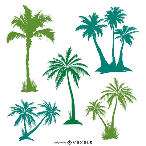 Vectores Gráficos de palmeras para descargar