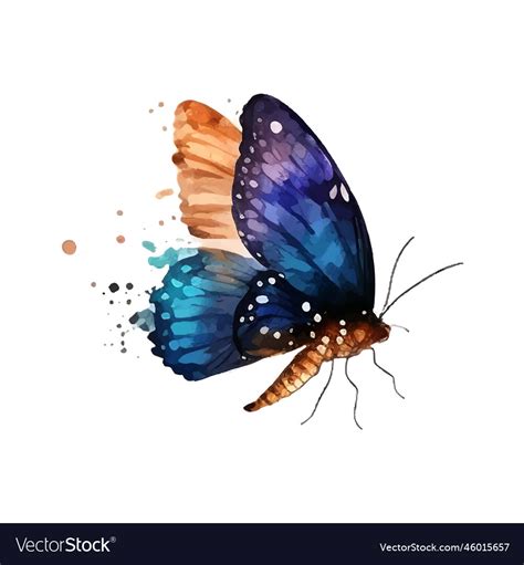 Blue Purple Butterfly Watercolor Isolated Vector Image
