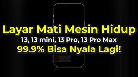 Cara Mengatasi Layar IPhone 13 13 Mini 13 Pro 13 Pro Max Mati Tapi