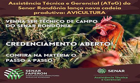 Avicultura Senar Rond Nia Implanta Nova Cadeia Produtiva Para Atender