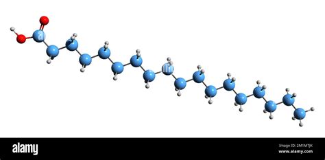 3D Image Of Stearic Acid Skeletal Formula Molecular Chemical