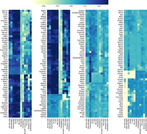 zeros cluster within specific cell types a bi clustered heatmap of zi