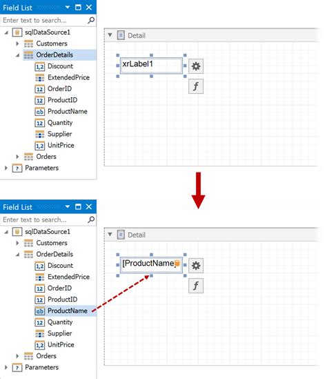 bind report controls to data using expression bindings reporting tools devexpress