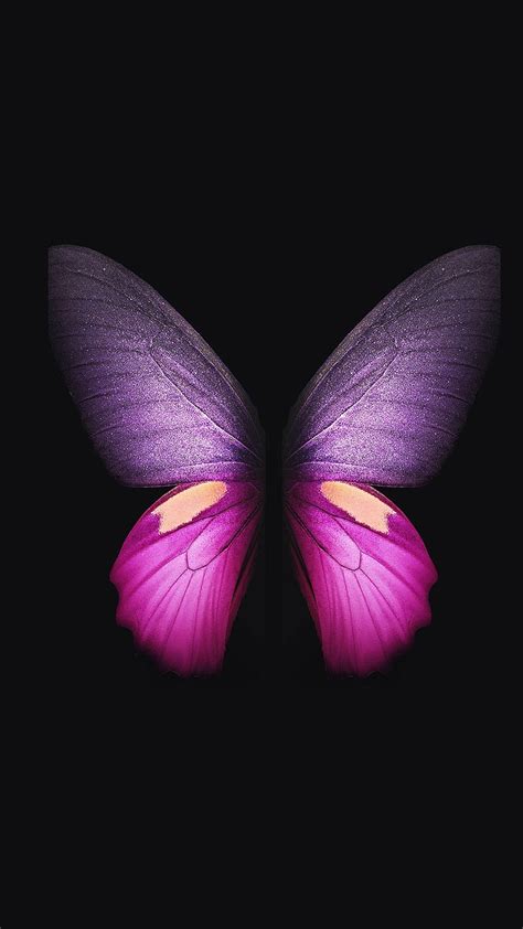 Incredible Collection Of Full K Butterfly Wallpaper Images Over