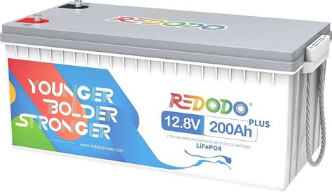 Renogy Batterie AGM à cycle profond 12 V 200 Ah taux d auto décharge