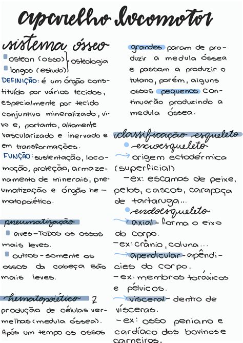 SOLUTION Aparelho Locomotor Medicina Veterin Ria 231121 180222 Studypool