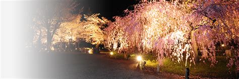 本丸御殿公開記念NAKED夏まつり 2024 世界遺産二条城を開催します 二条城 世界遺産元離宮二条城