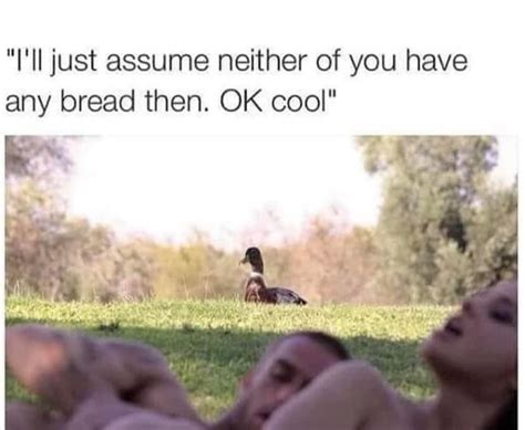 They Better Watch Out Ducks Have Corkscrew Penises Meme By