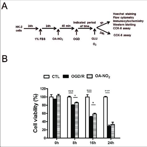 Oxygen And Glucose Deprivation Re Oxygenation OGD R Gradually