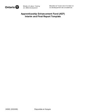 Fillable Online Interim And Final Report Template Apprenticeship