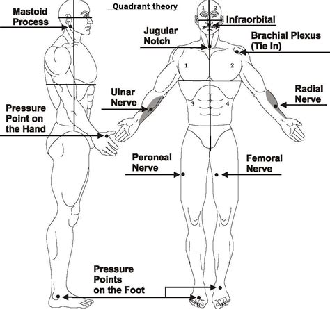 Pressure Points For Self Defense Pdf
