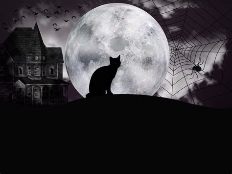 картинки Хэллоуин night of witches Луна Кот Тайна фантазия