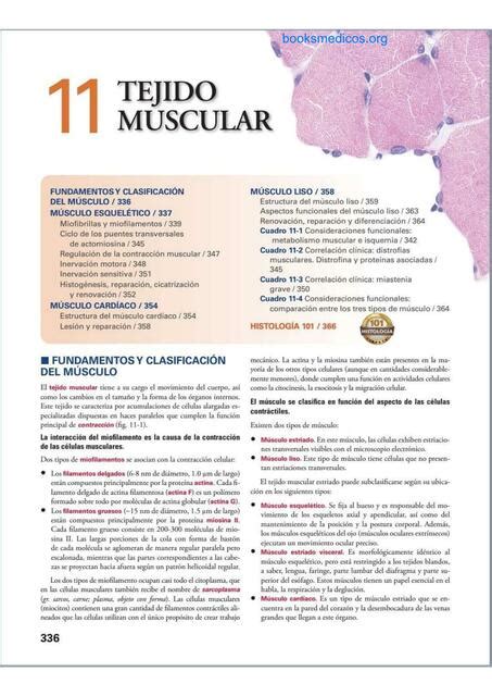 Tejido Muscular Ross MAAL UDocz
