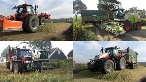 Mais Hakselen En Inkuilen Door Loonbedrijf H Van Haarst Bij