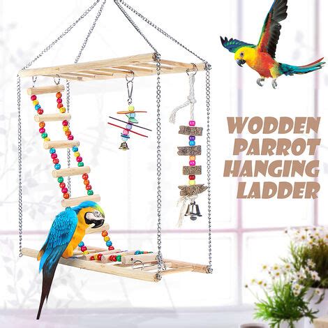 Perroquet Jouets En Bois Oiseaux Pour Animaux De Compagnie Oscillant D