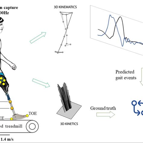 data acquisition protocol and comparison between kinetic and download scientific diagram