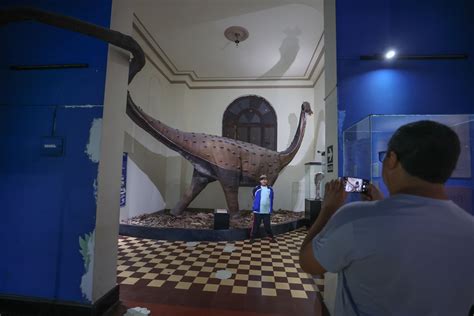 Adem S Del Perucetus Colossus Qu Otros Tesoros Ofrece El Museo De
