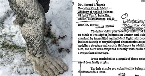 The Fbi Reveals Results Of Bigfoot Hair Tests Years Later