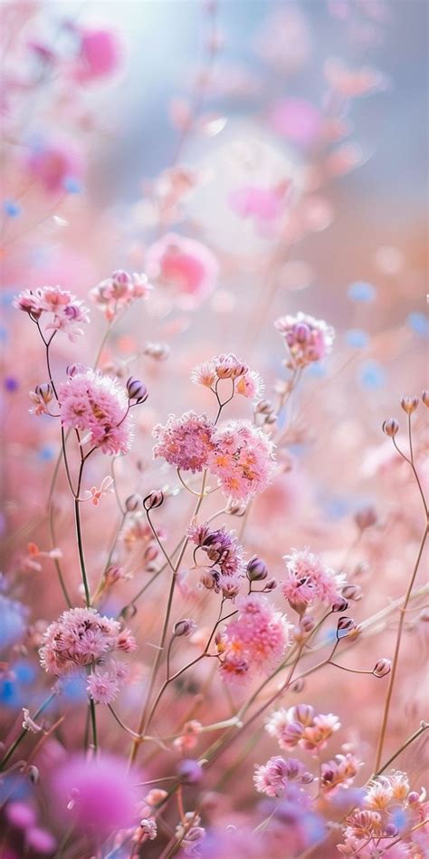 100 Free Spring Phone Wallpapers To Brighten Your Screen In 2024
