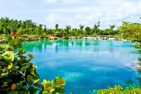 Ecosistemas De Quintana Roo Los Conoces Info Quintana Roo